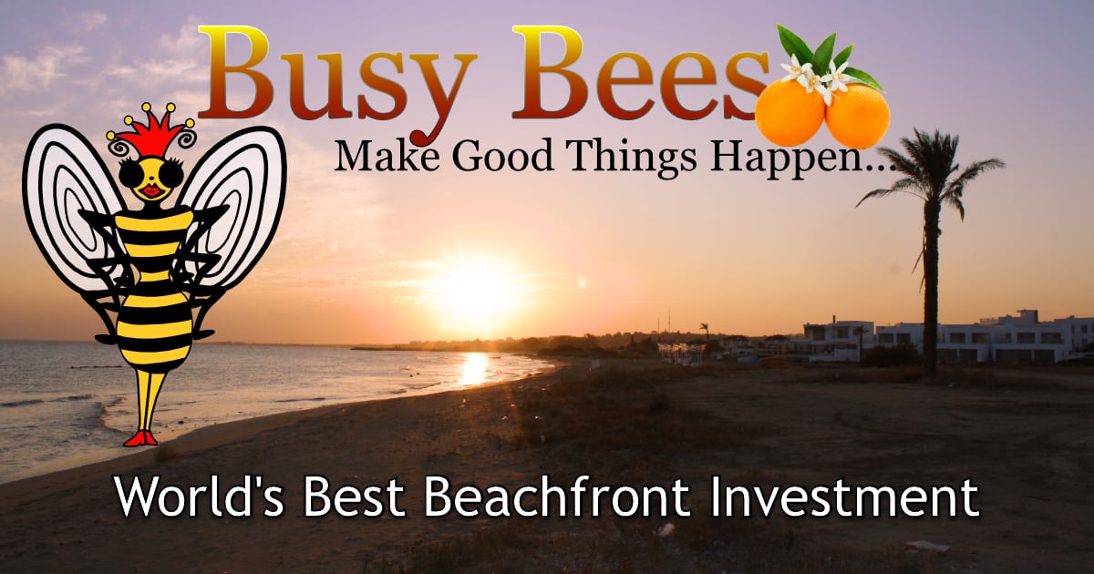 Rental Guarantee | Busy Bees Investments